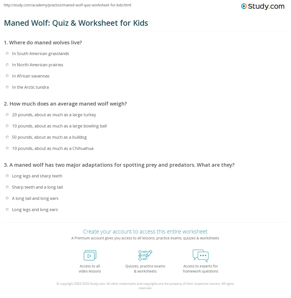 Maned Wolf: Quiz & Worksheet for Kids | Study.com