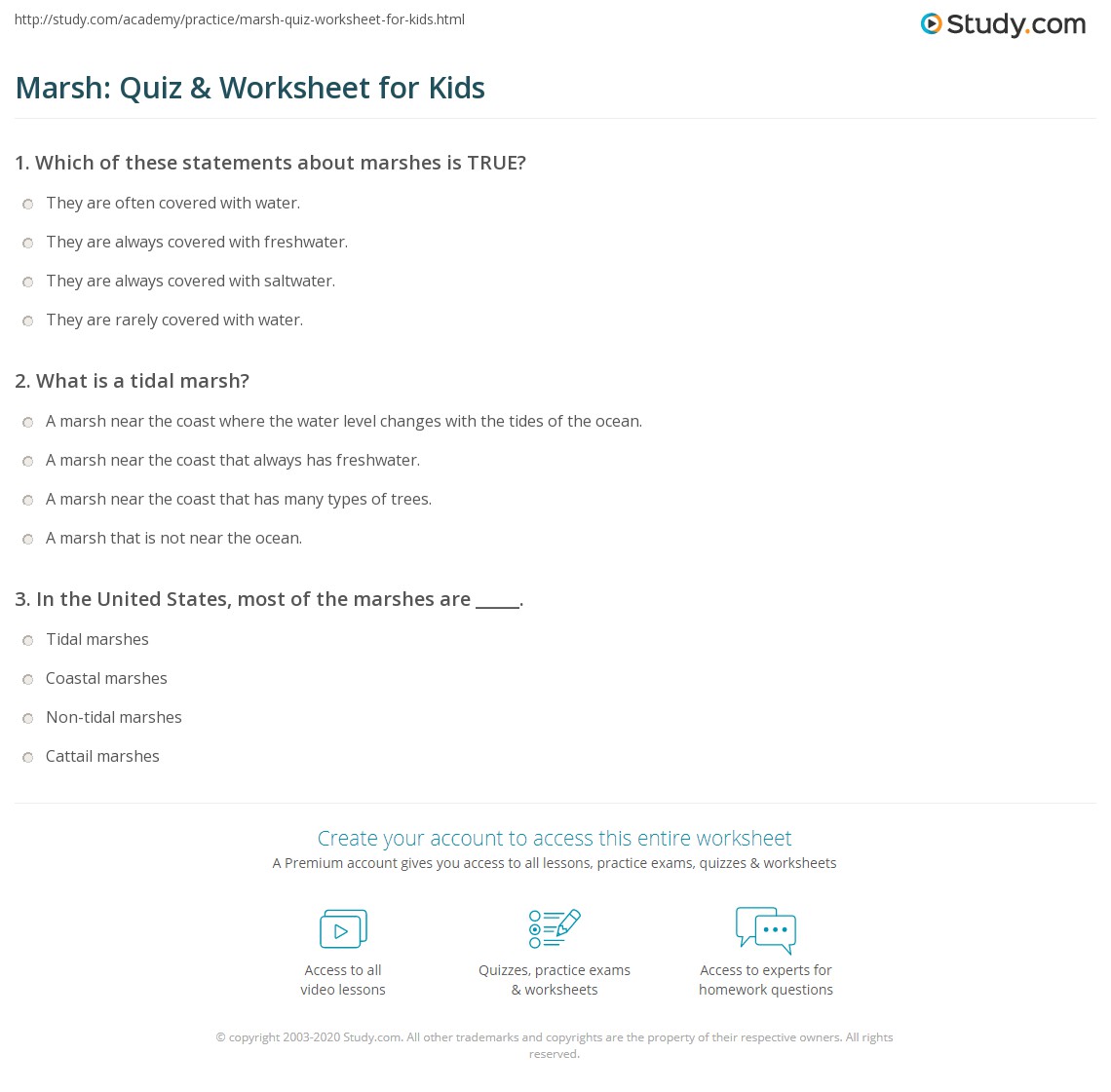 Marsh: Quiz & Worksheet for Kids | Study.com