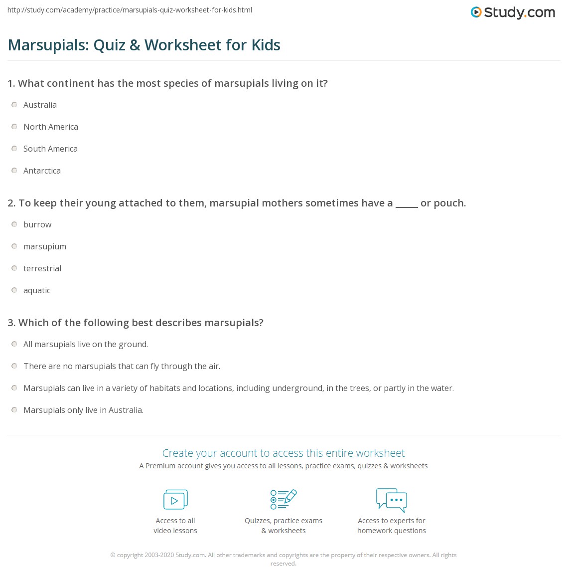 Marsupials: Quiz & Worksheet for Kids | Study.com