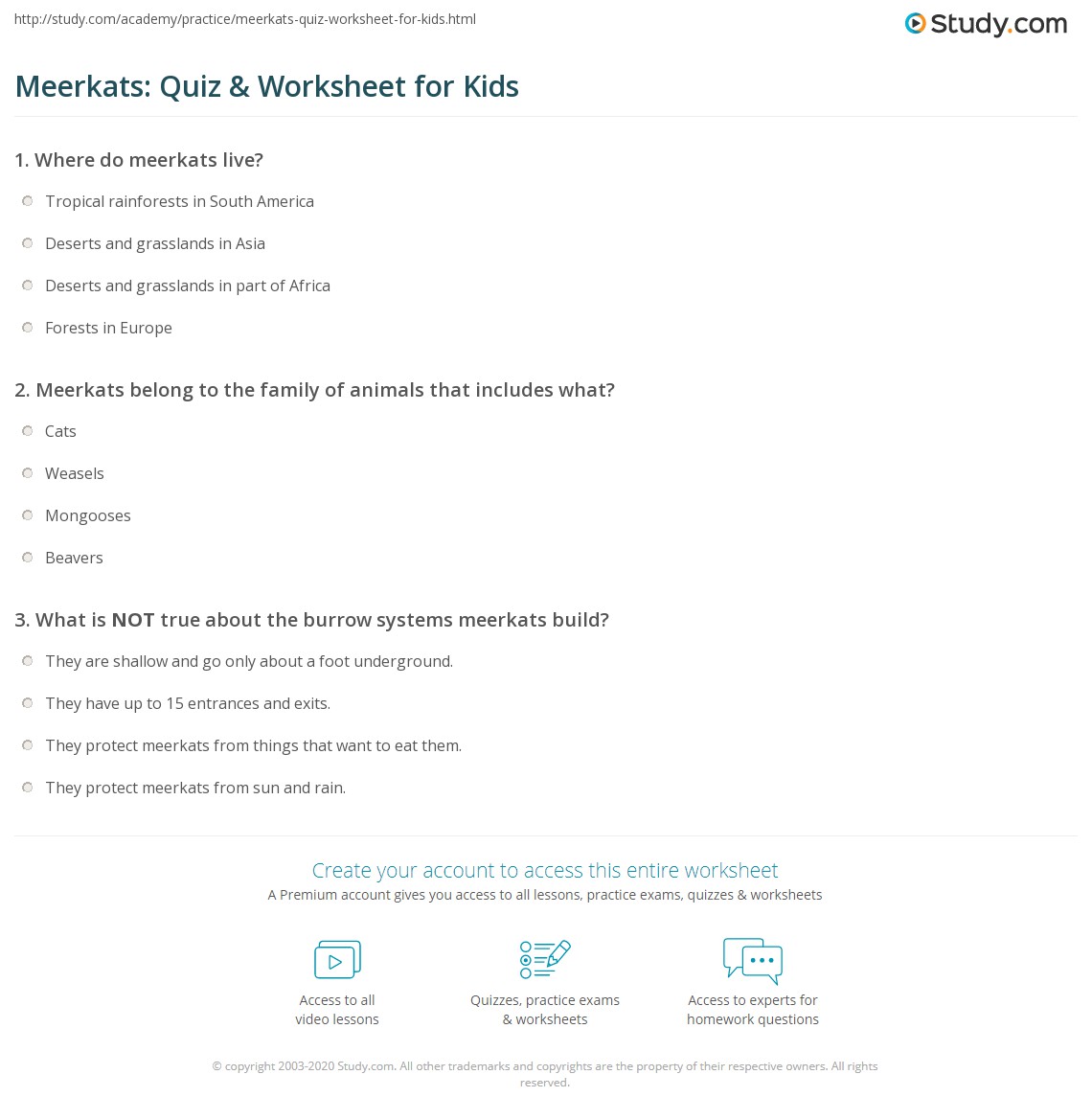 Meerkats: Quiz & Worksheet for Kids | Study.com
