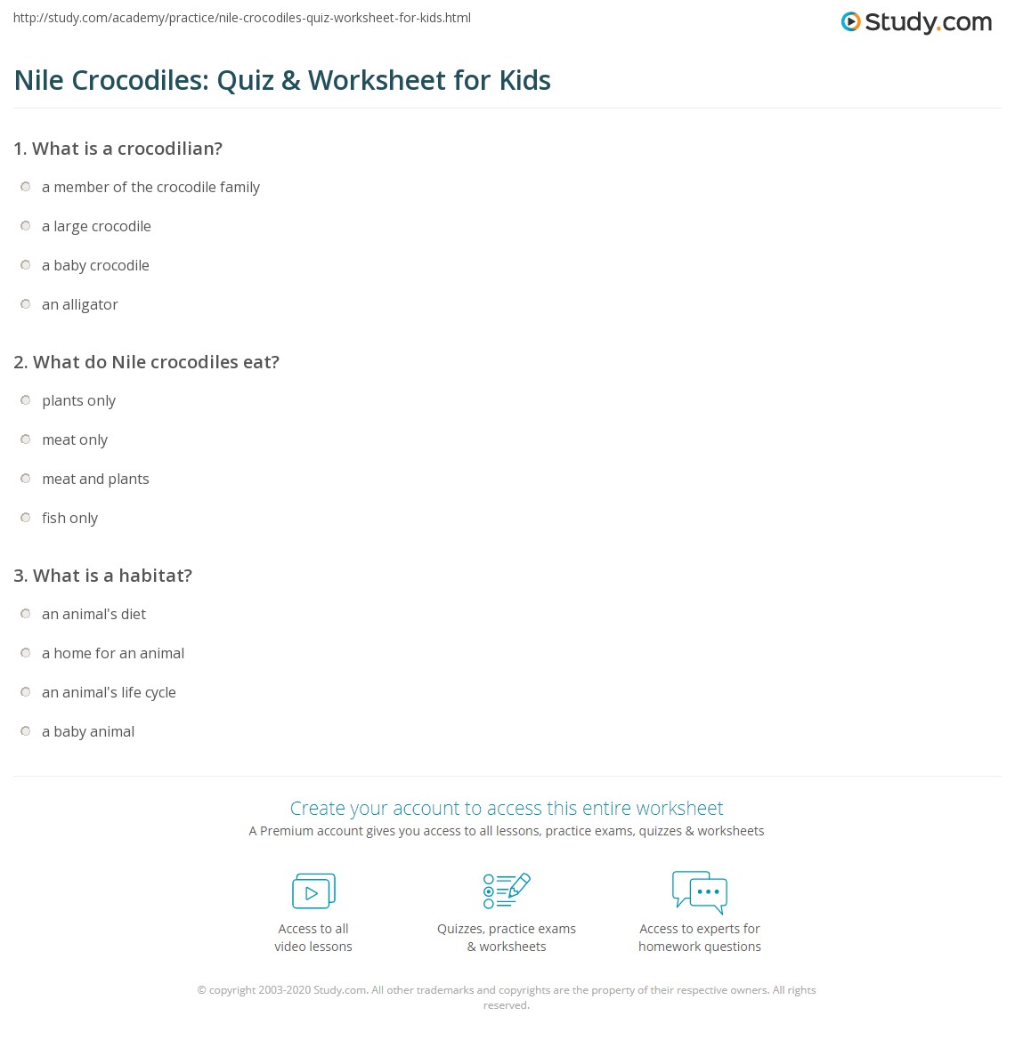 Nile Crocodiles: Quiz & Worksheet for Kids | Study.com