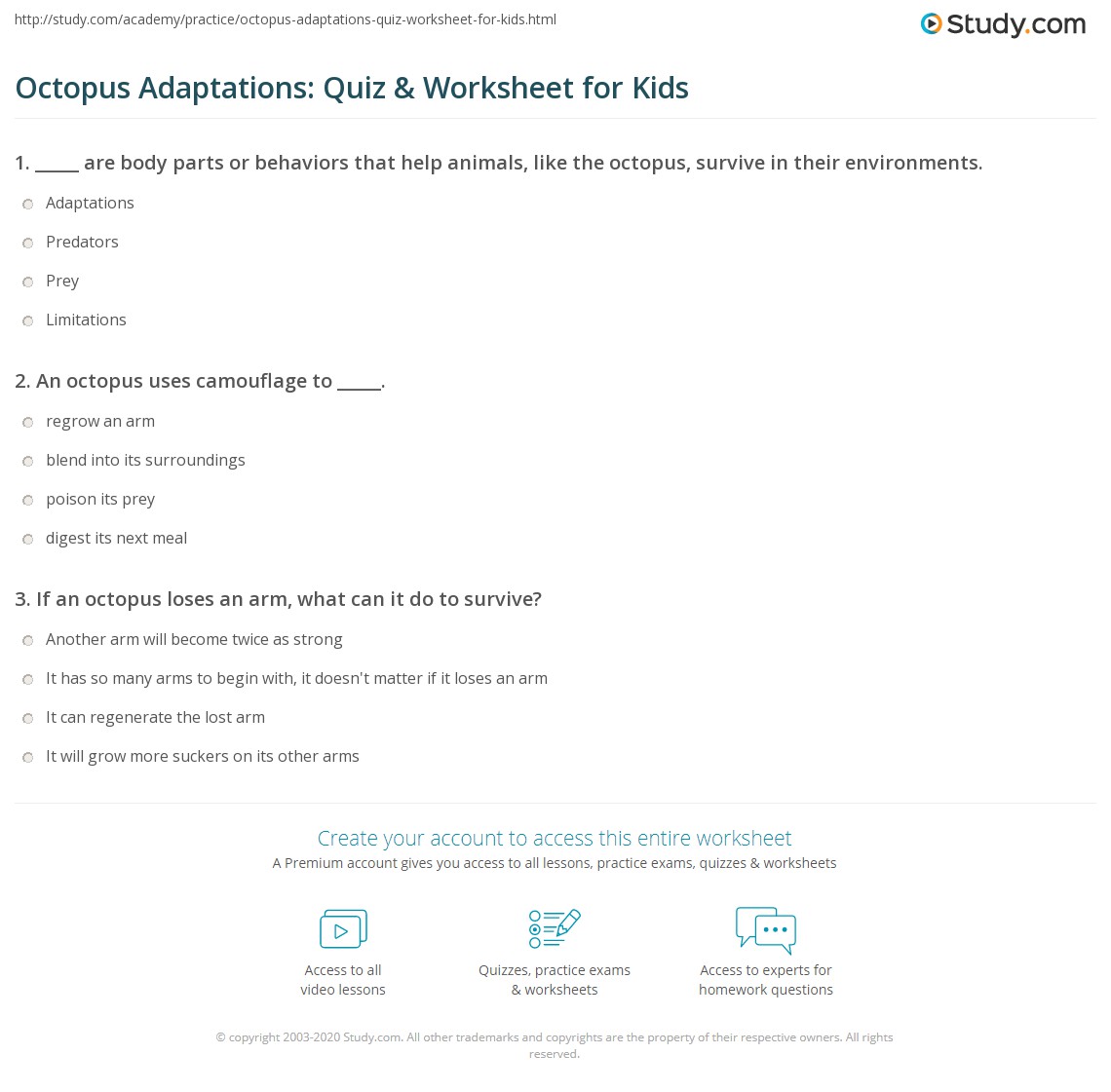 Octopus Adaptations: Quiz & Worksheet for Kids | Study.com