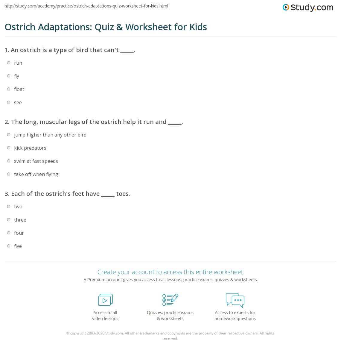 Ostrich Adaptations: Quiz & Worksheet for Kids | Study.com