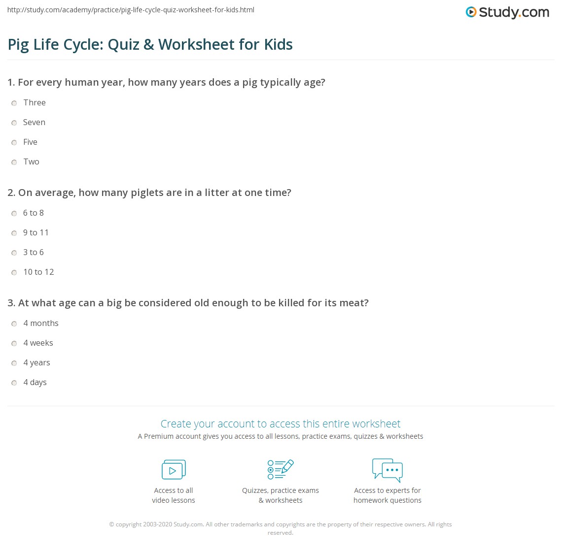 Pig Life Cycle: Quiz & Worksheet for Kids | Study.com