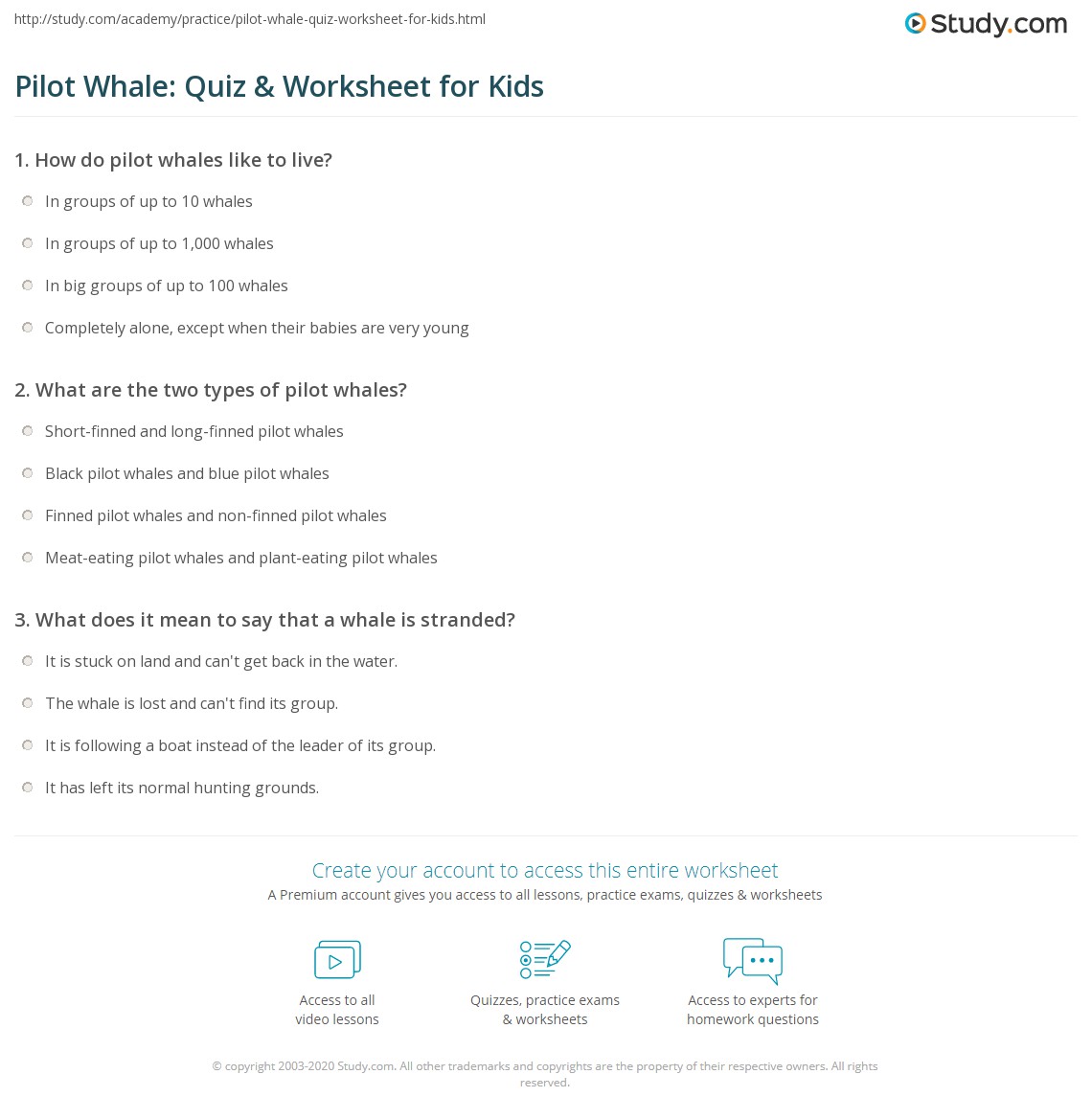 Pilot Whale: Quiz & Worksheet for Kids | Study.com