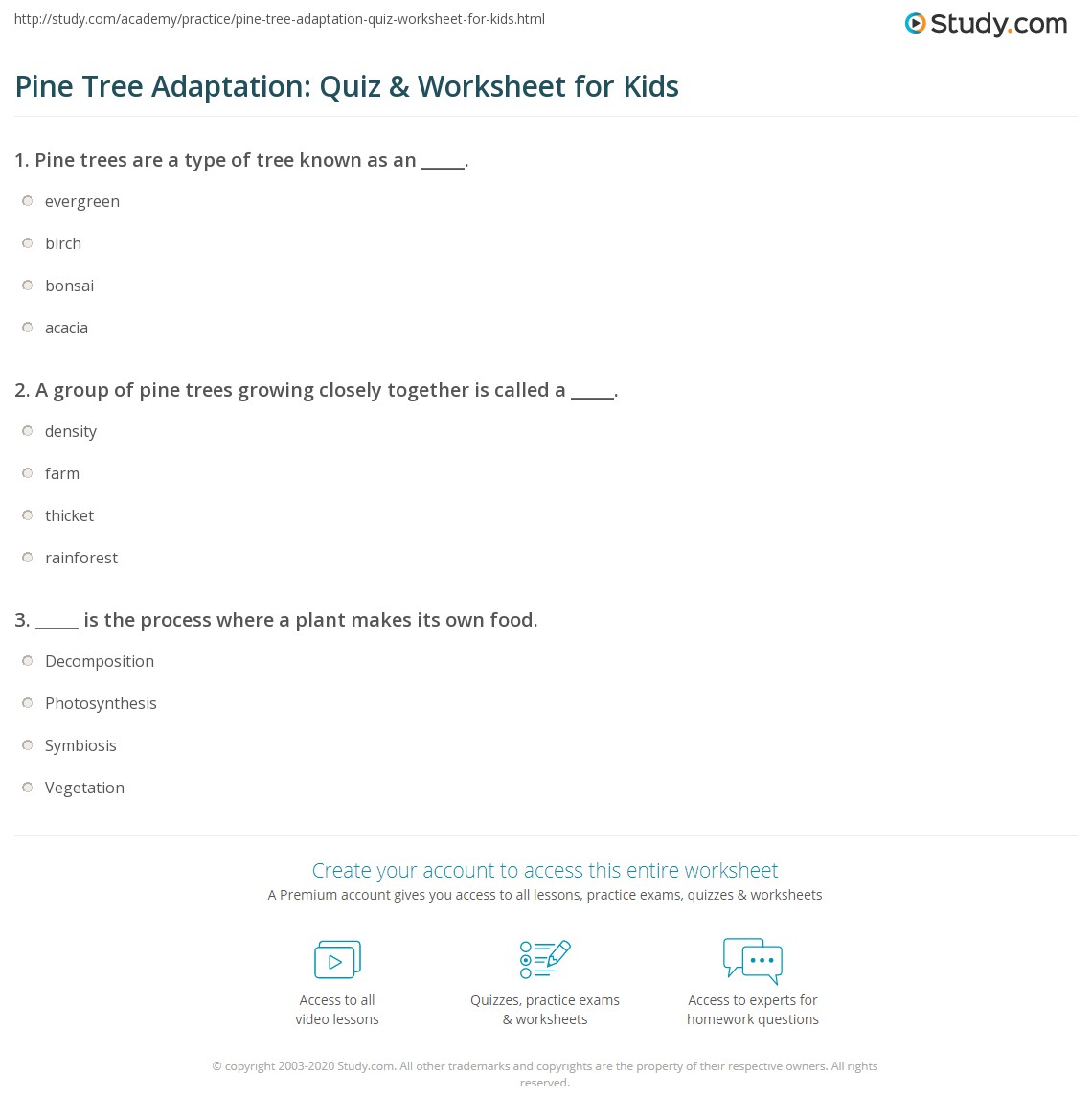 Pine Tree Adaptation: Quiz & Worksheet for Kids | Study.com