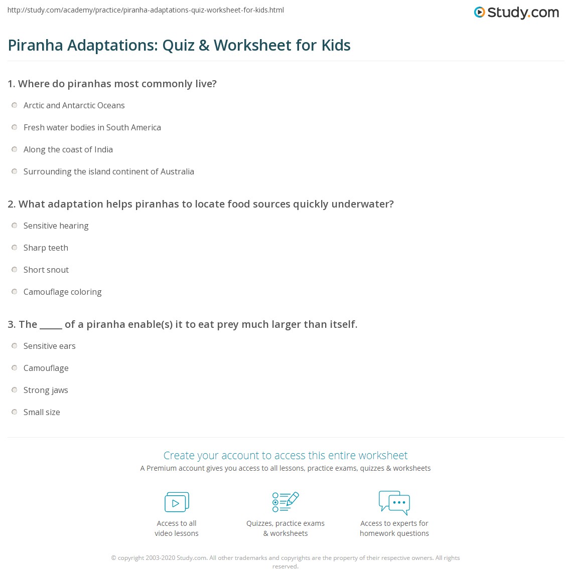 Piranha Adaptations: Quiz & Worksheet for Kids | Study.com