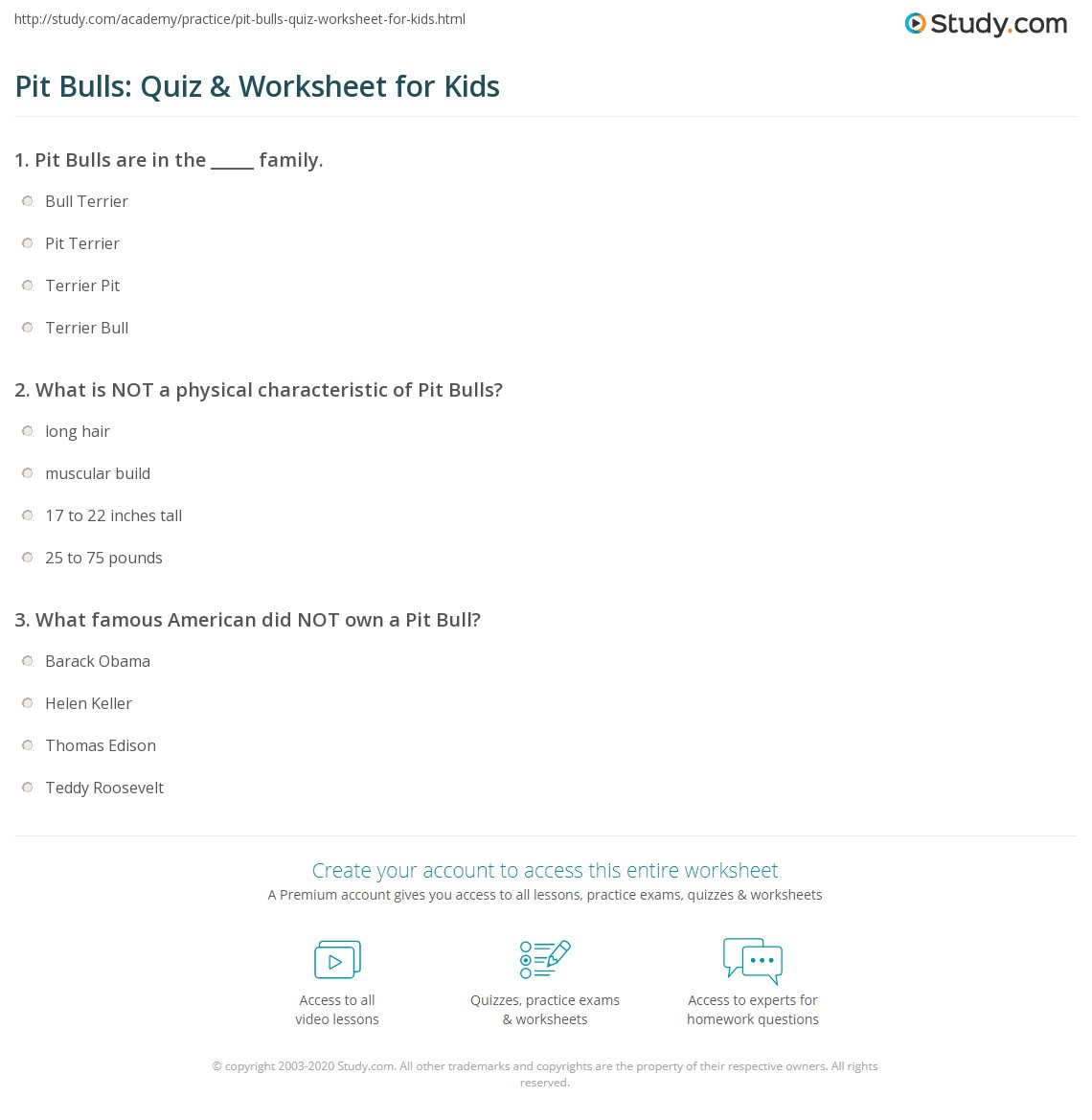 Pit Bulls: Quiz & Worksheet for Kids | Study.com