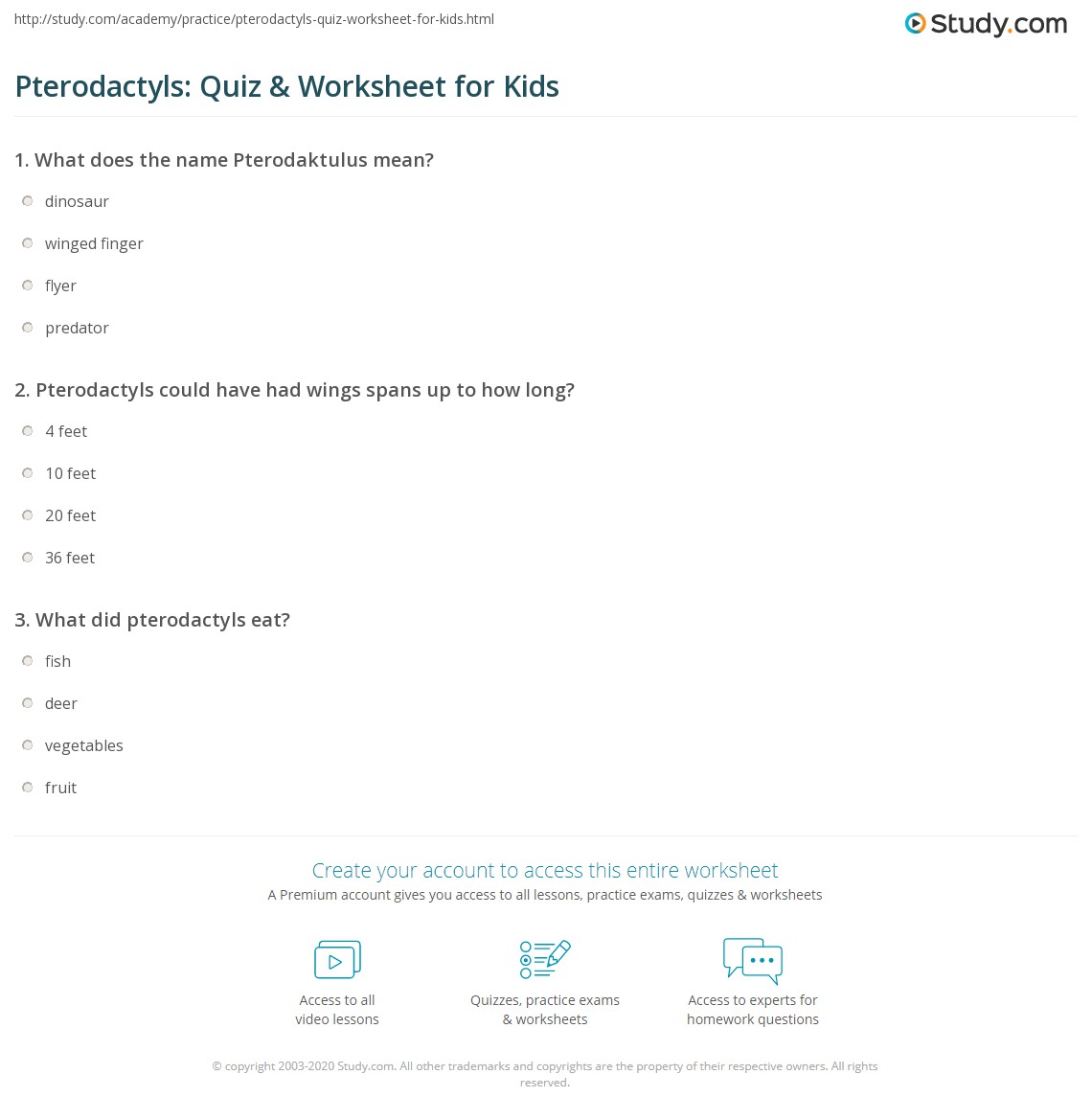 Pterodactyls: Quiz & Worksheet for Kids | Study.com