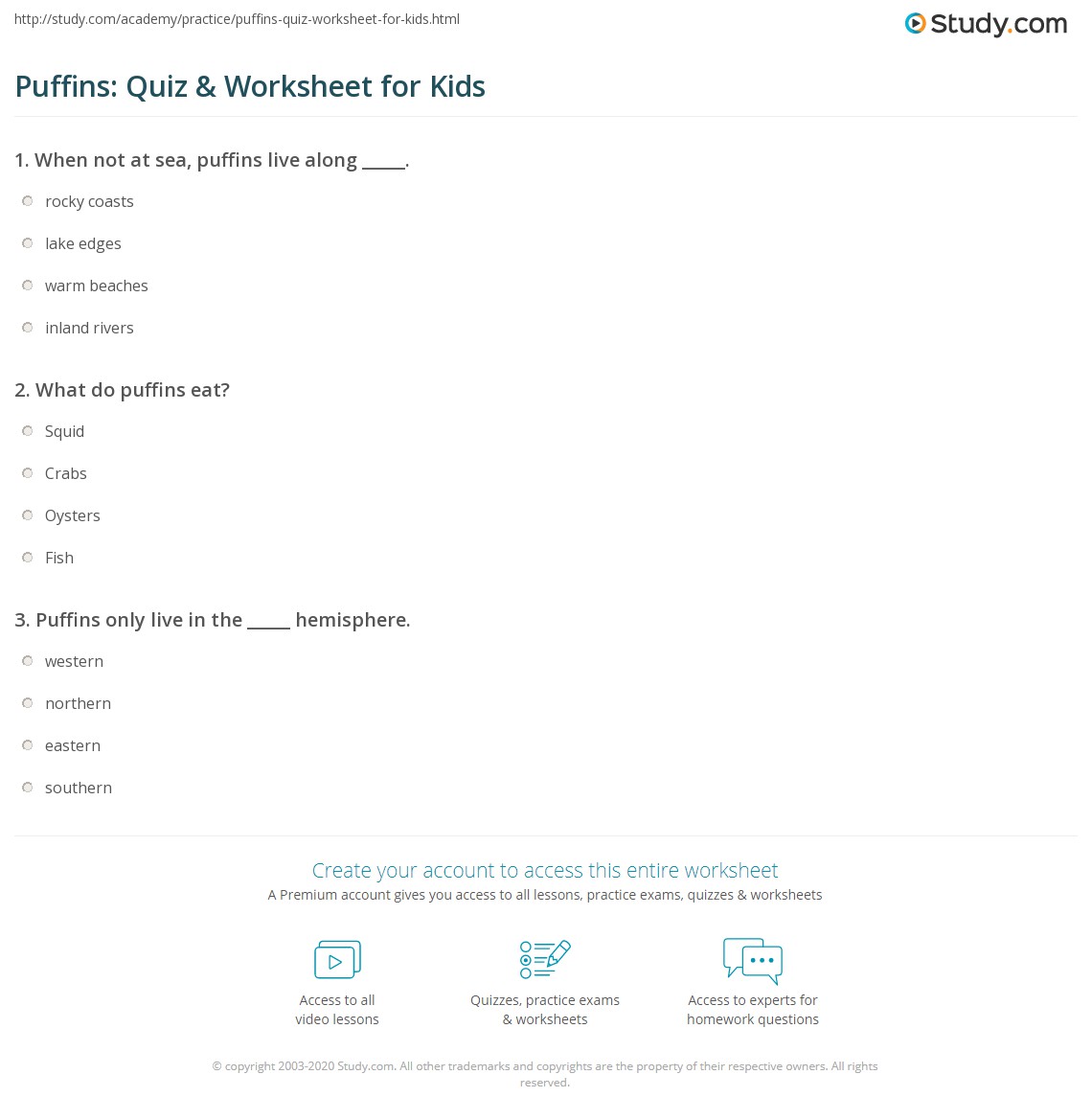 Puffins: Quiz & Worksheet for Kids | Study.com
