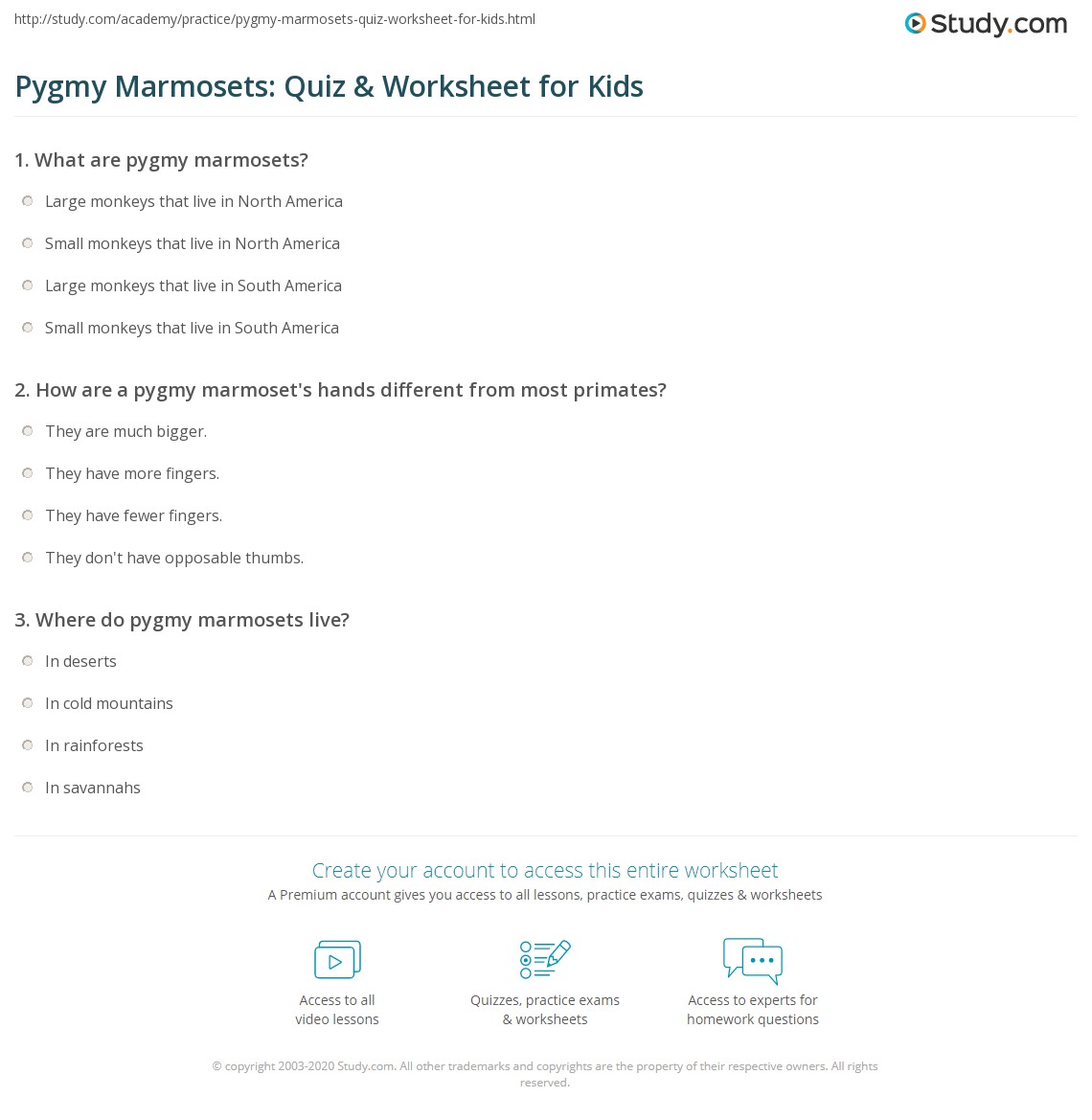 Pygmy Marmosets: Quiz & Worksheet for Kids | Study.com