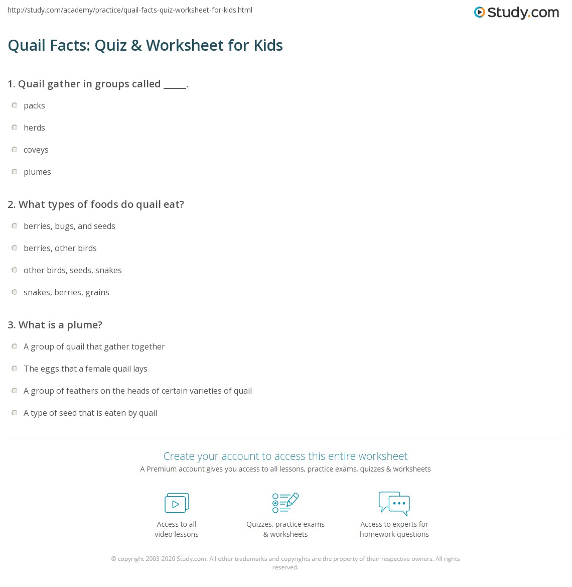 Quail Facts: Quiz & Worksheet for Kids | Study.com