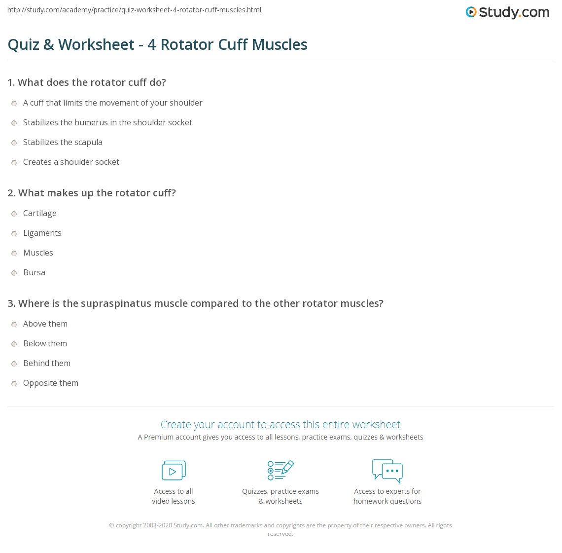 Quiz & Worksheet - 4 Rotator Cuff Muscles | Study.com