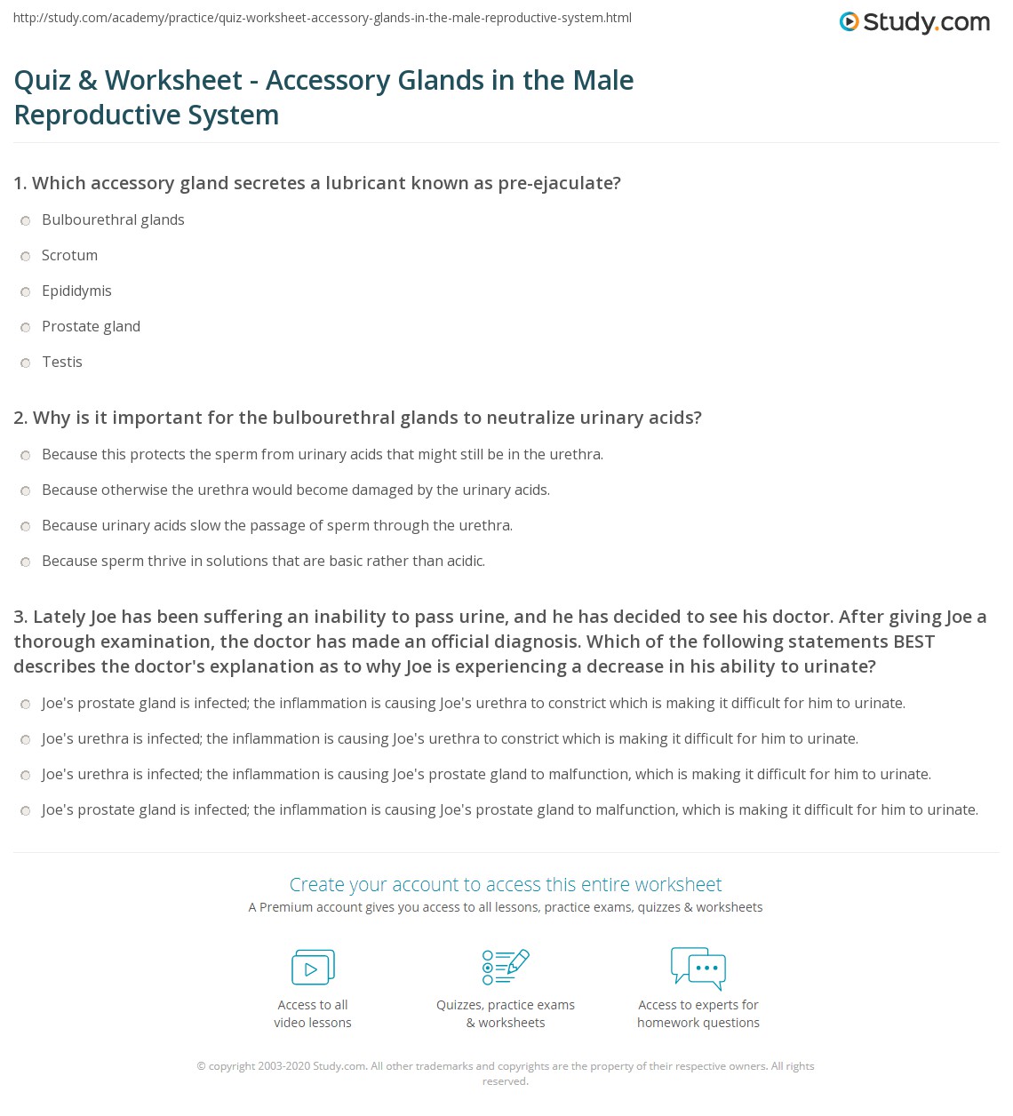 Quiz & Worksheet - Accessory Glands in the Male Reproductive System ...