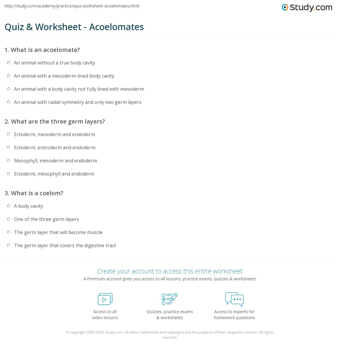 Quiz & Worksheet - Acoelomates | Study.com