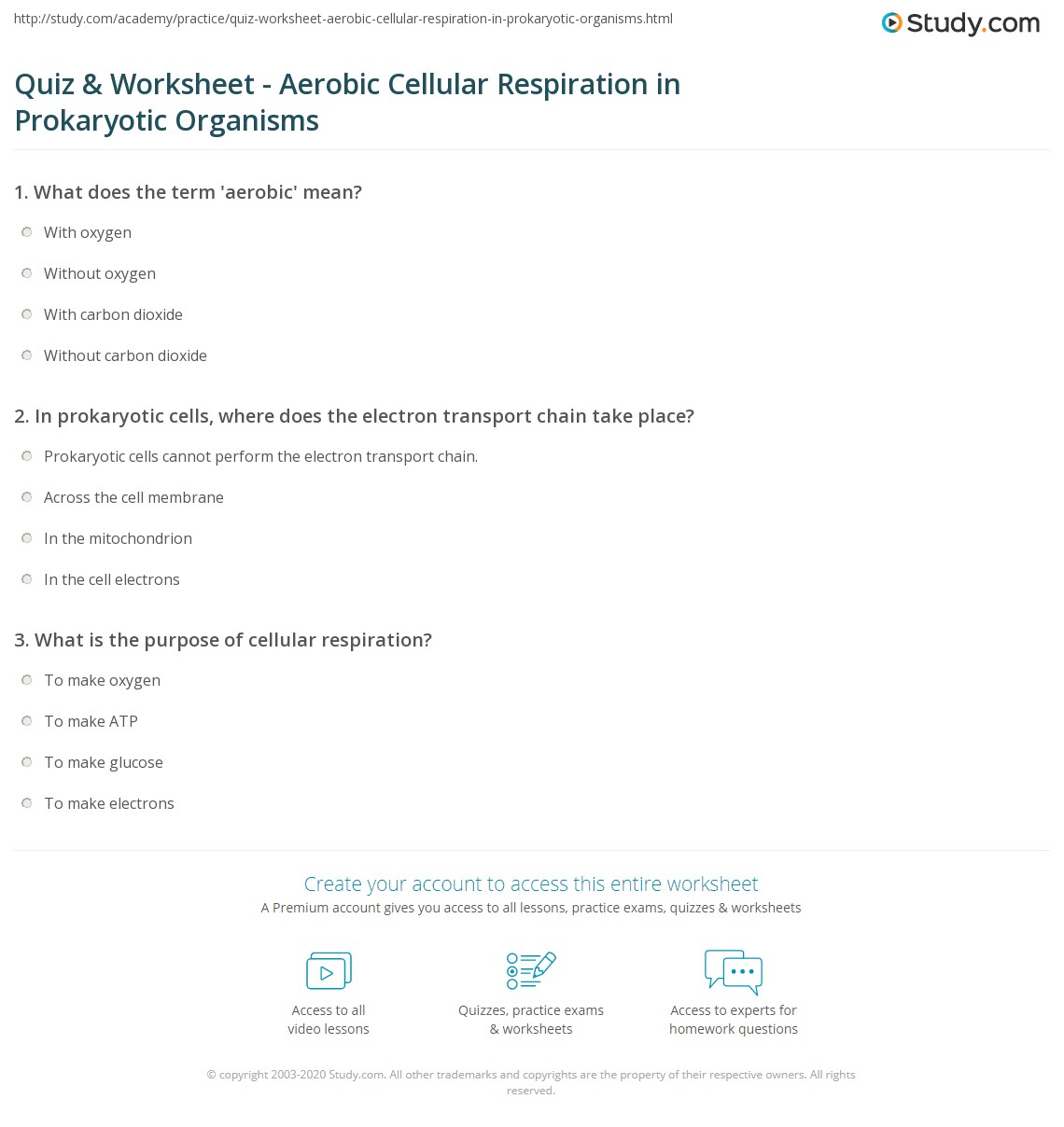 Quiz & Worksheet - Aerobic Cellular Respiration in Prokaryotic ...