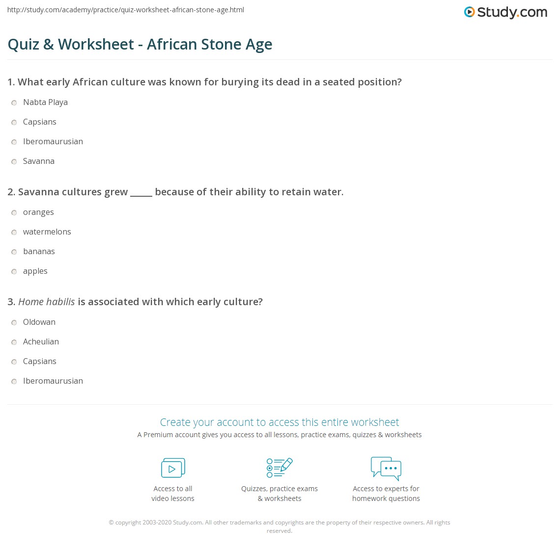 Quiz & Worksheet - African Stone Age | Study.com