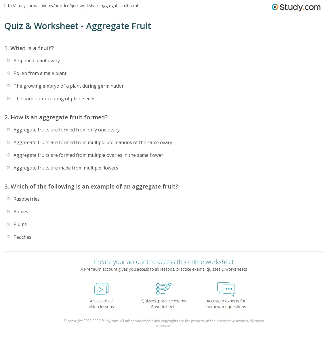 Quiz & Worksheet - Aggregate Fruit | Study.com