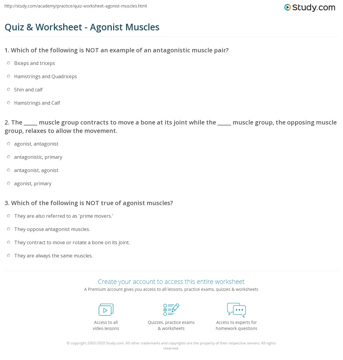 Quiz & Worksheet - Agonist Muscles | Study.com