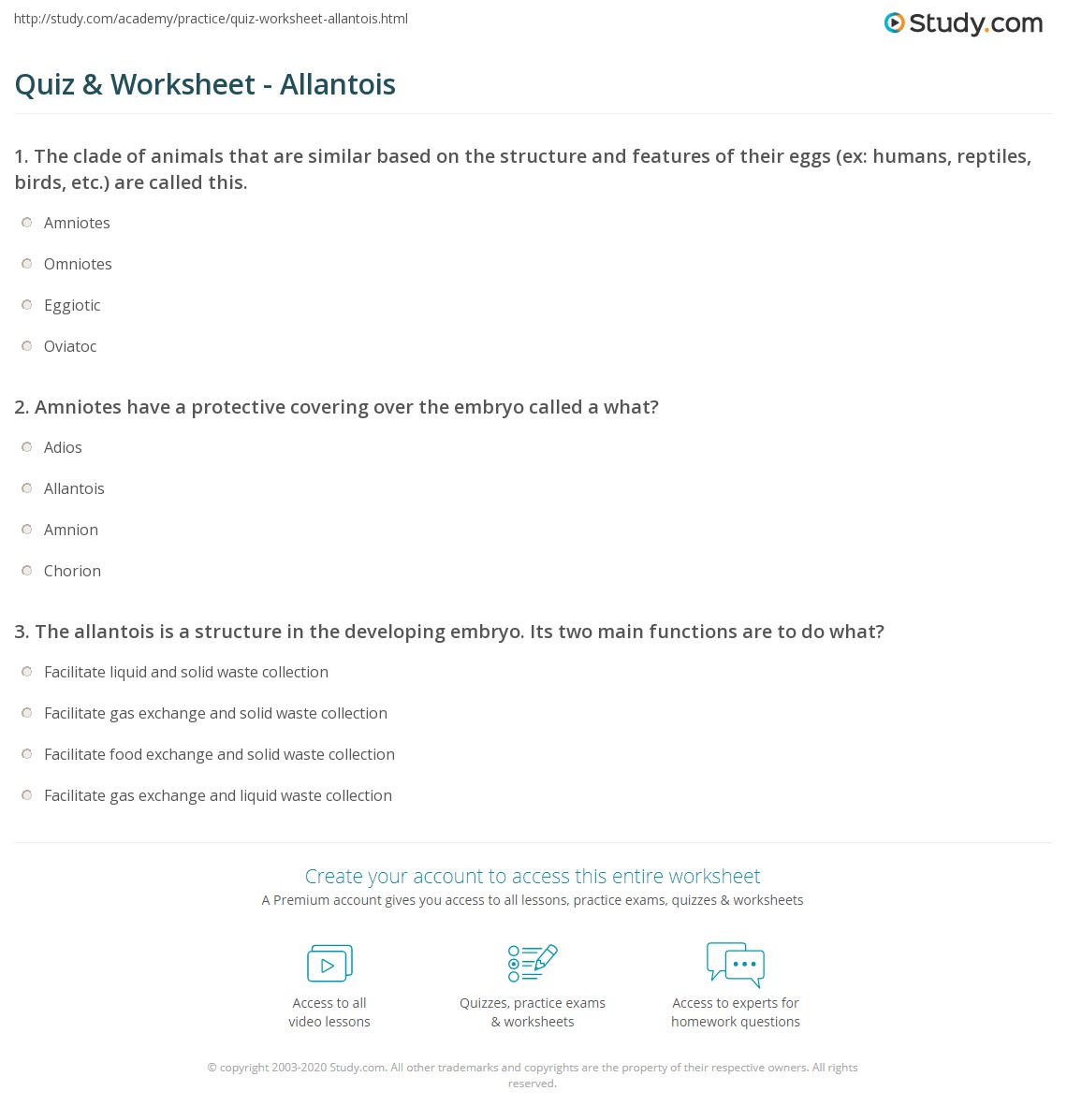 Quiz & Worksheet - Allantois | Study.com