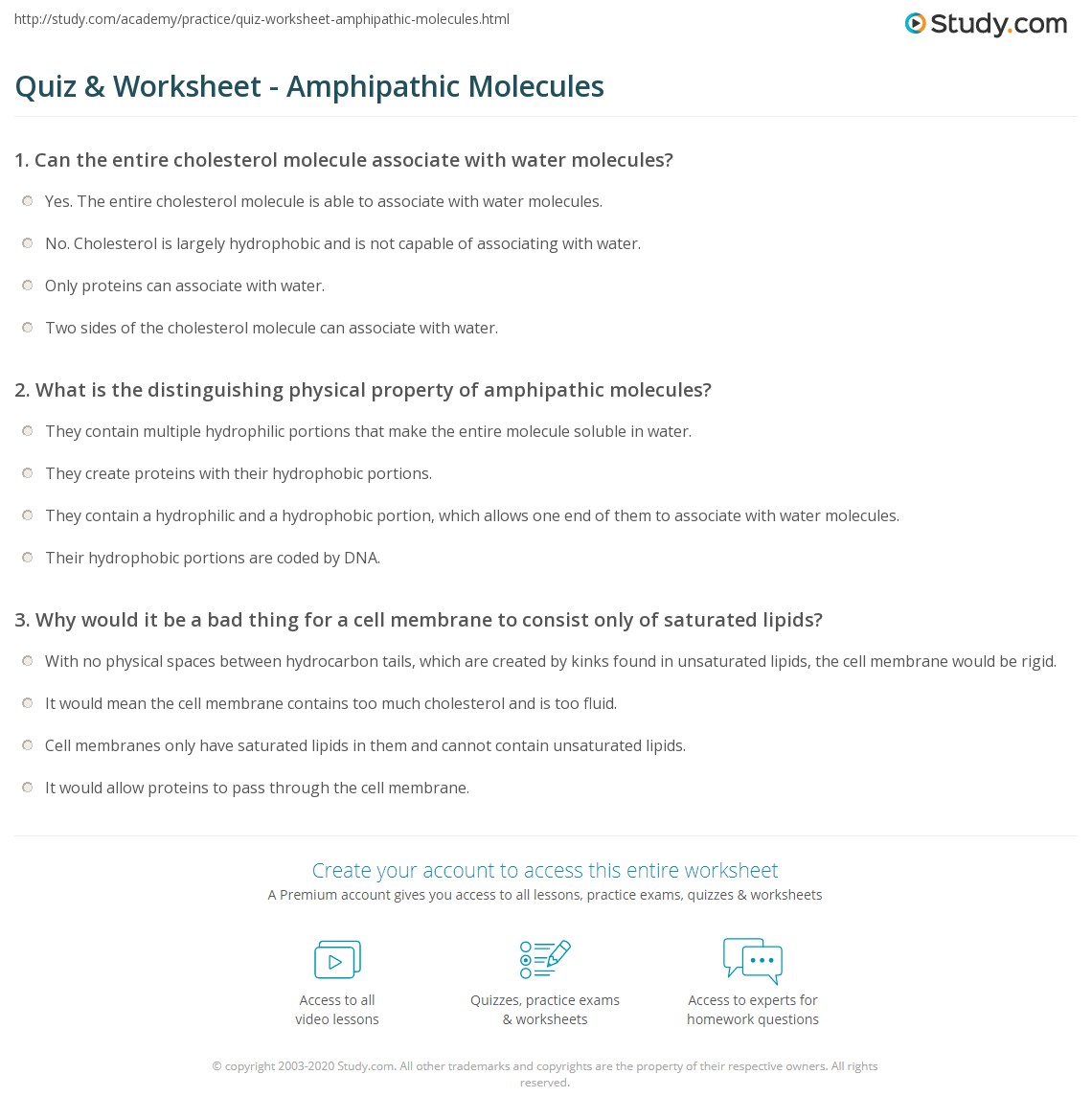 Quiz & Worksheet - Amphipathic Molecules | Study.com