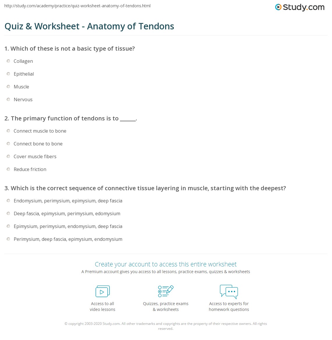 Quiz & Worksheet - Anatomy of Tendons | Study.com