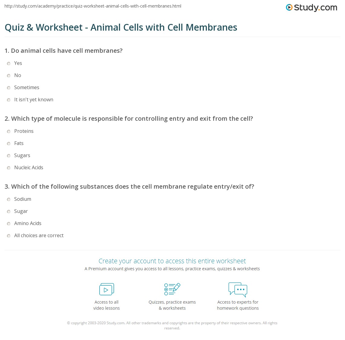 Quiz & Worksheet - Animal Cells with Cell Membranes | Study.com