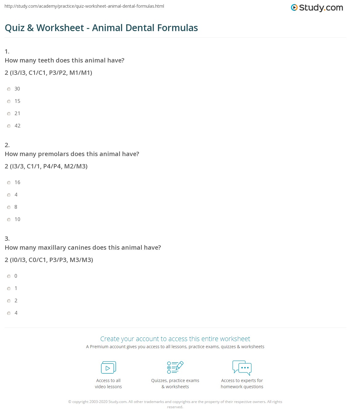 Quiz & Worksheet - Animal Dental Formulas | Study.com