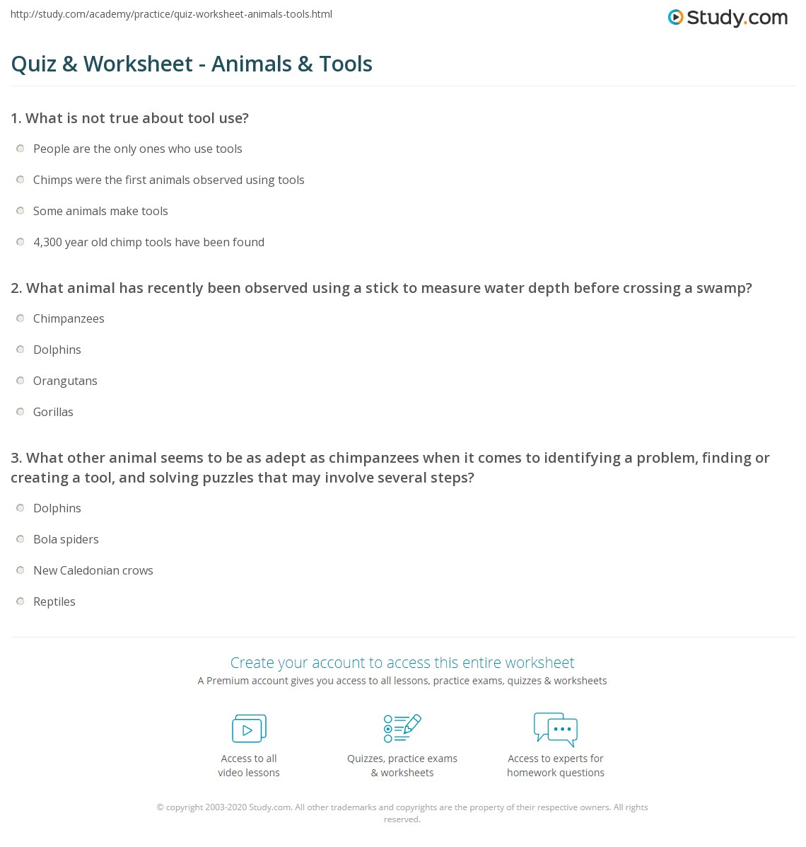 Quiz & Worksheet - Animals & Tools | Study.com