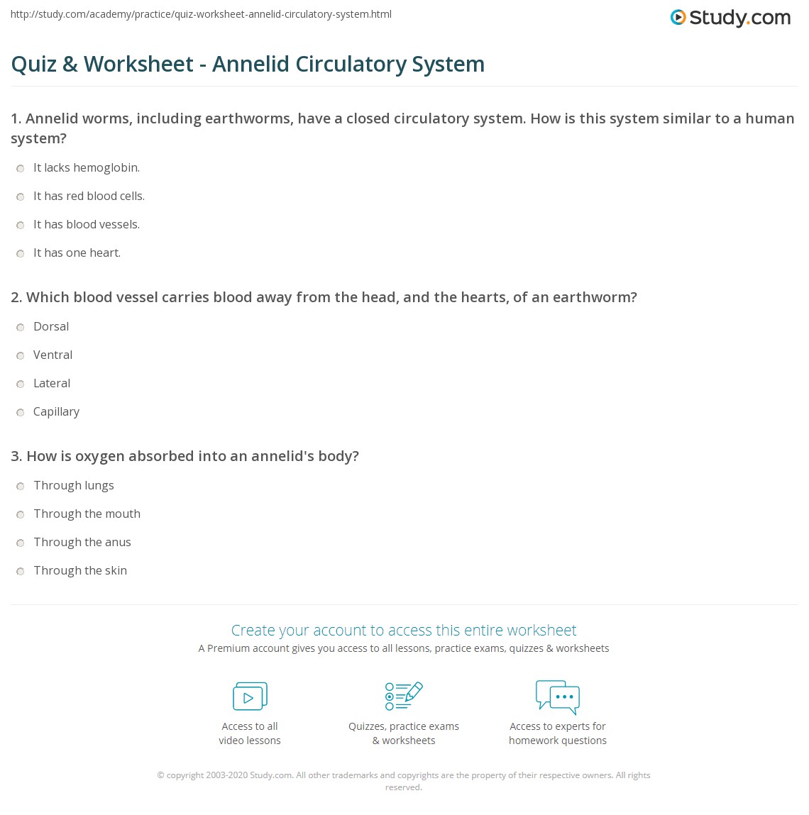 Quiz & Worksheet - Annelid Circulatory System | Study.com