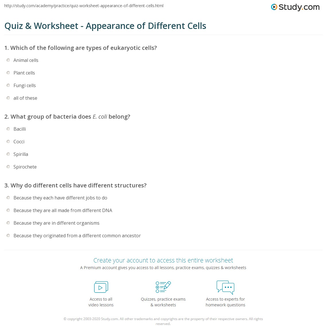 Quiz & Worksheet - Appearance of Different Cells | Study.com