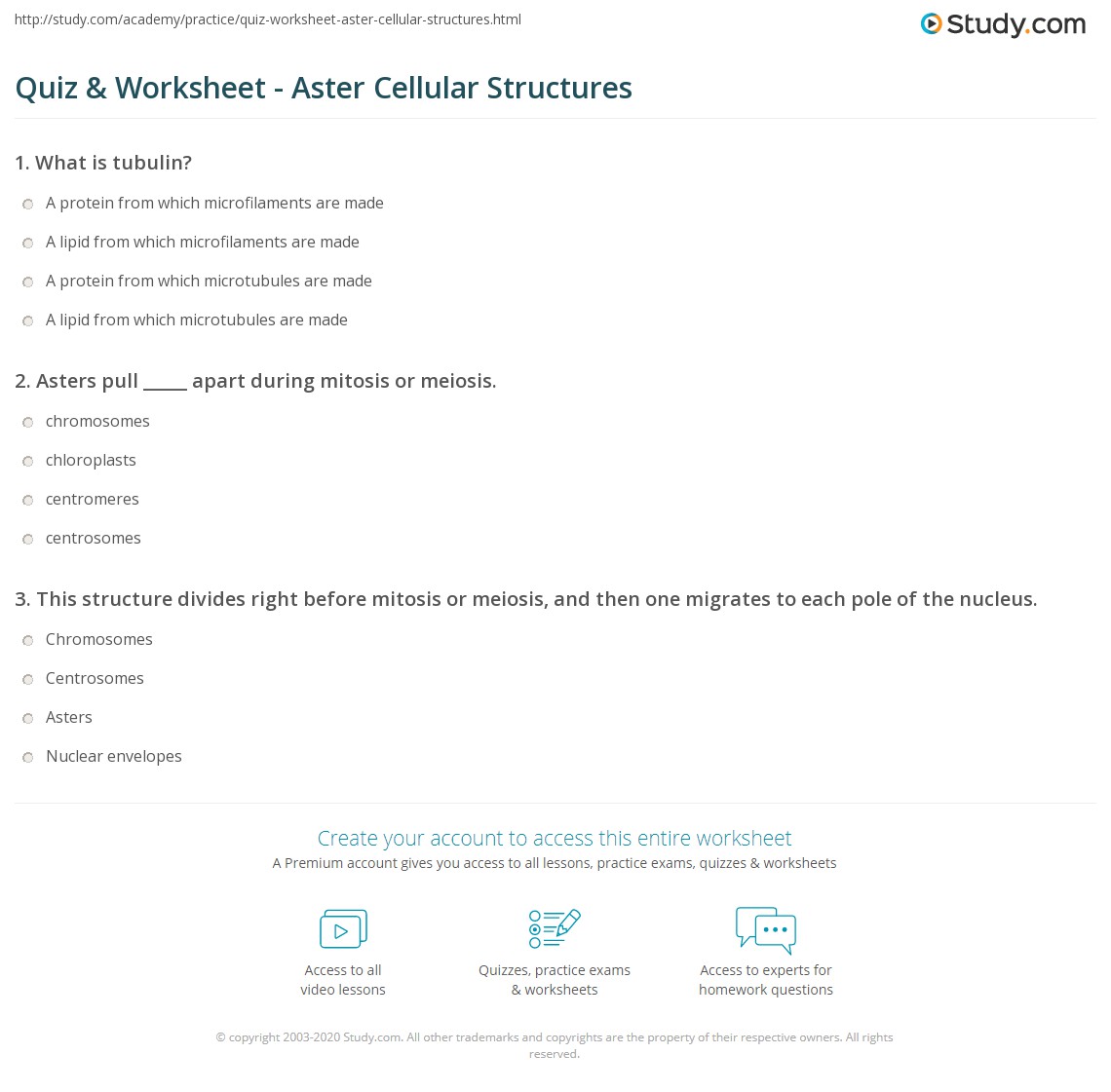 Quiz & Worksheet - Aster Cellular Structures | Study.com