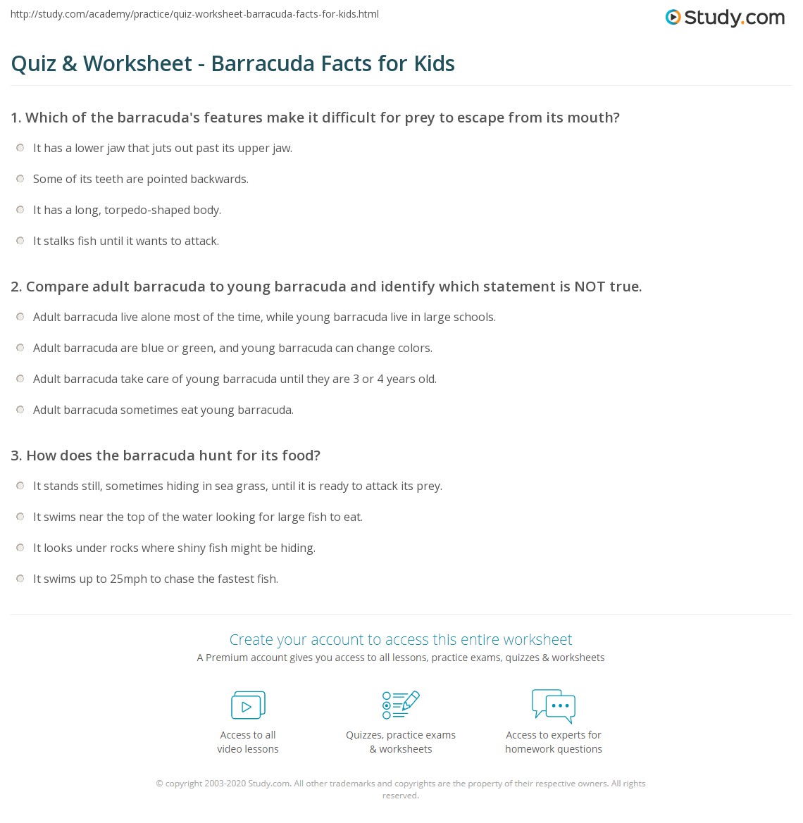 Quiz & Worksheet - Barracuda Facts for Kids | Study.com