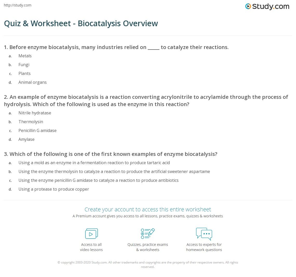 Quiz & Worksheet - Biocatalysis Overview | Study.com