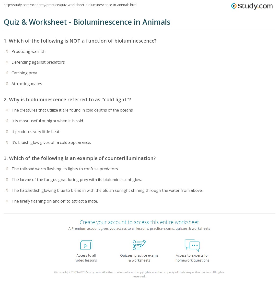 Quiz & Worksheet - Bioluminescence in Animals | Study.com
