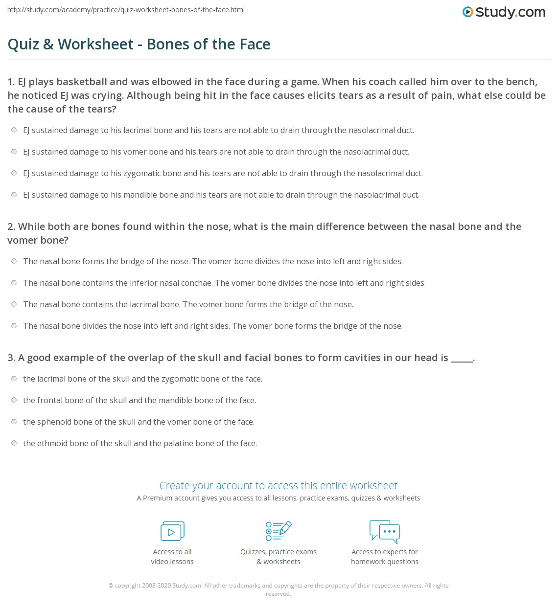 Quiz & Worksheet - Bones of the Face | Study.com