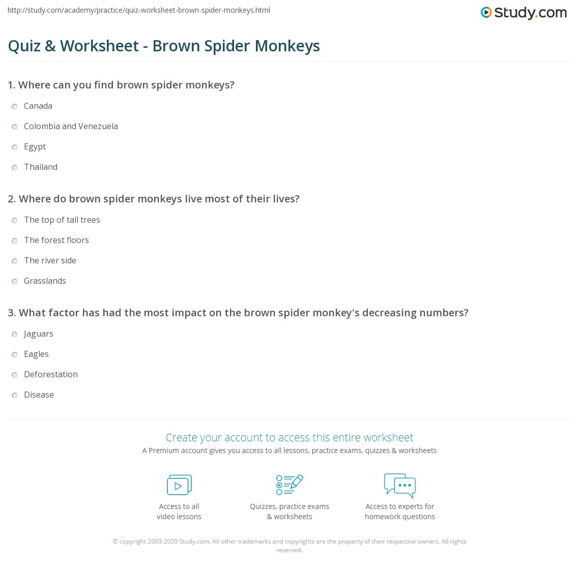 Quiz & Worksheet - Brown Spider Monkeys | Study.com
