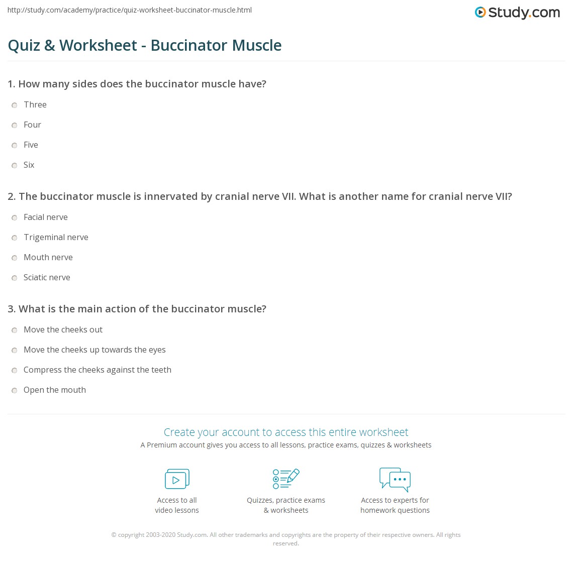 Quiz & Worksheet - Buccinator Muscle | Study.com