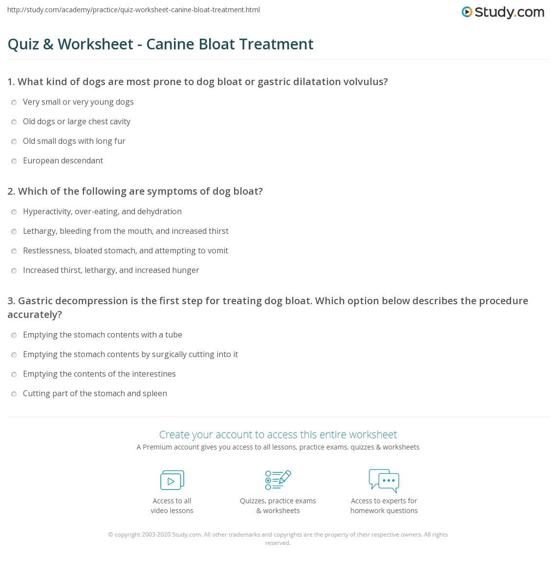 Quiz & Worksheet - Canine Bloat Treatment | Study.com
