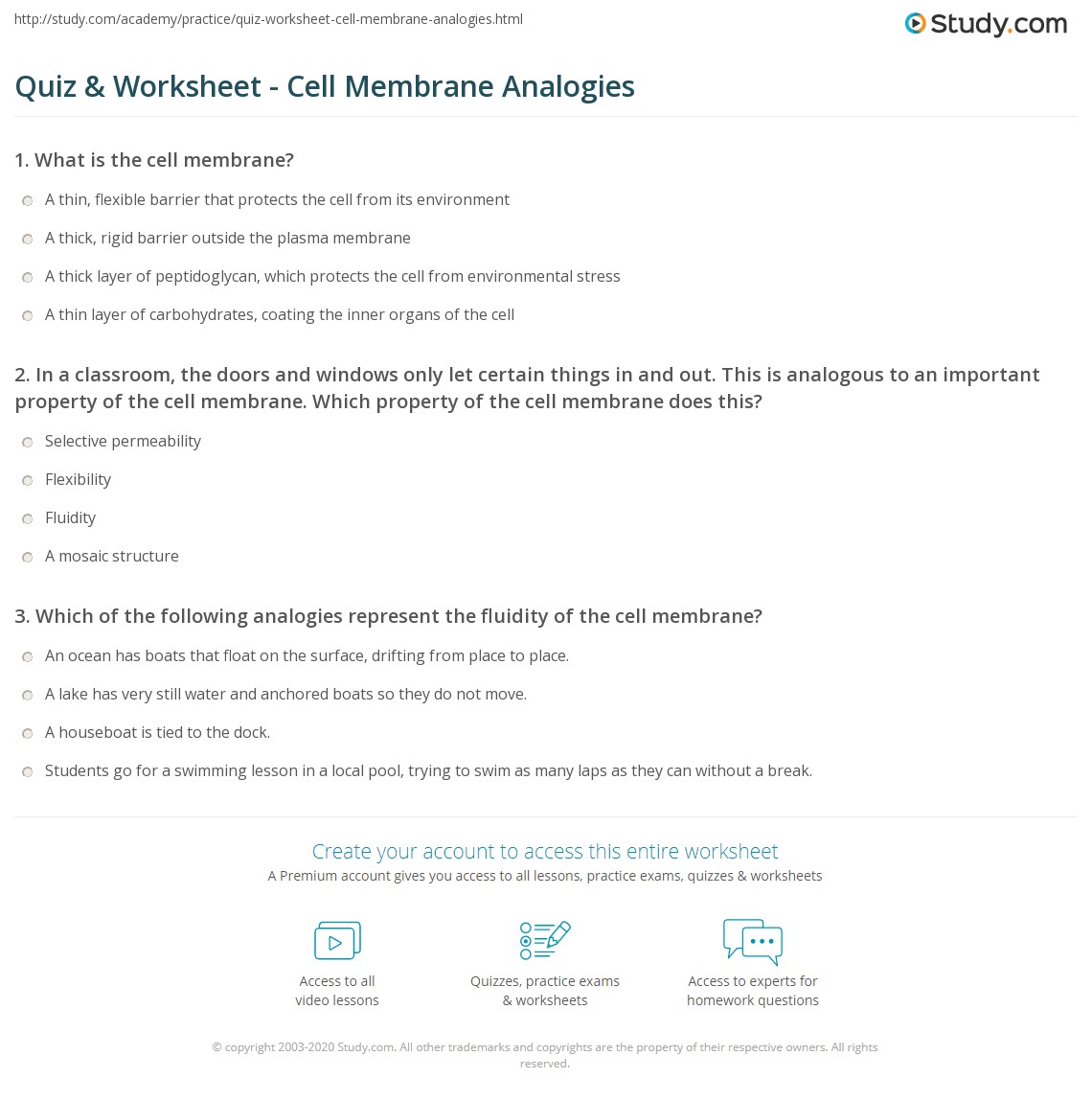 Quiz & Worksheet - Cell Membrane Analogies | Study.com