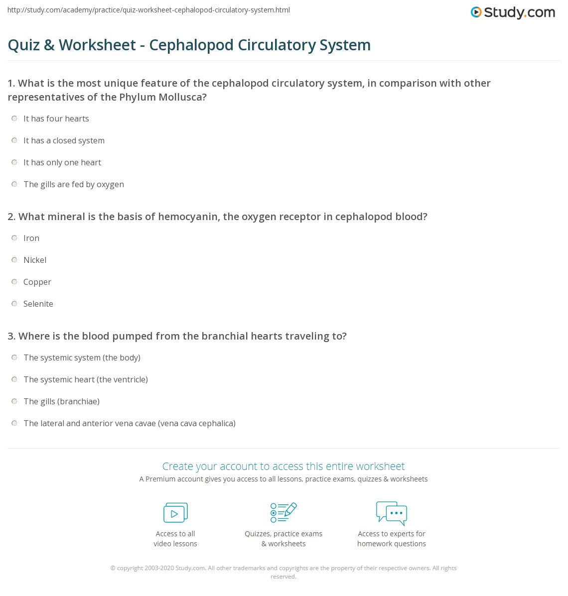Quiz & Worksheet - Cephalopod Circulatory System | Study.com