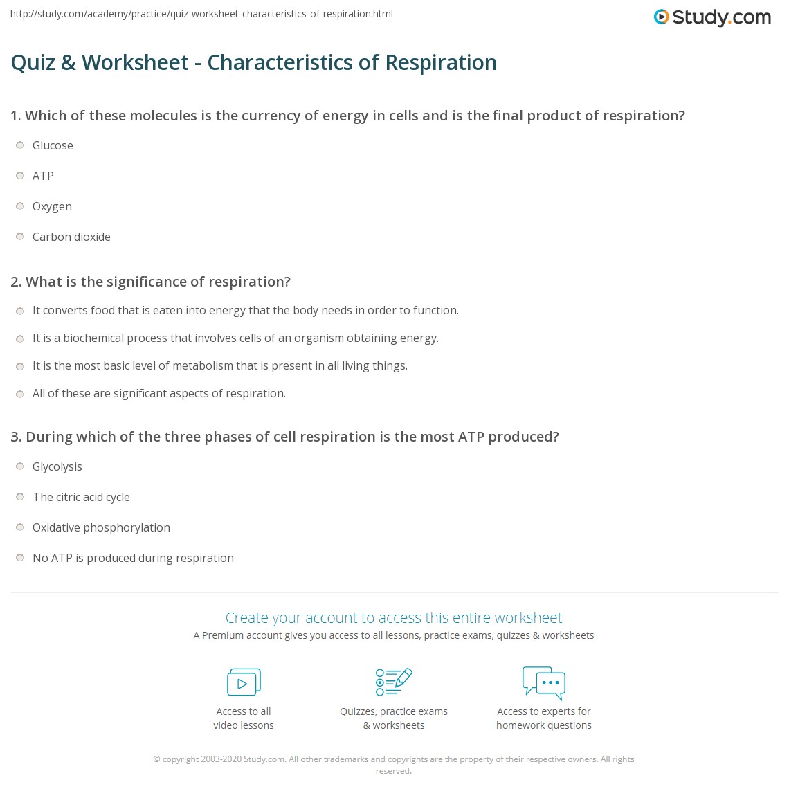 Quiz & Worksheet - Characteristics of Respiration | Study.com