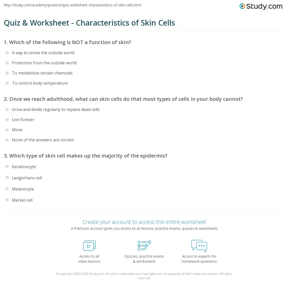 Quiz & Worksheet - Characteristics of Skin Cells | Study.com