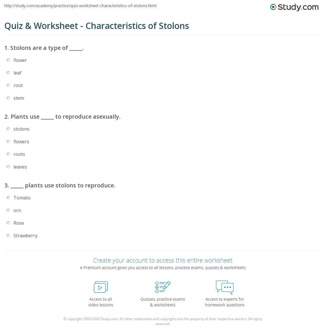 Quiz & Worksheet - Characteristics of Stolons | Study.com