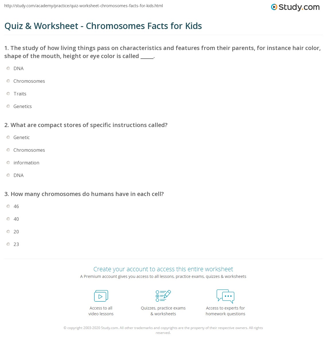 Quiz & Worksheet - Chromosomes Facts for Kids | Study.com