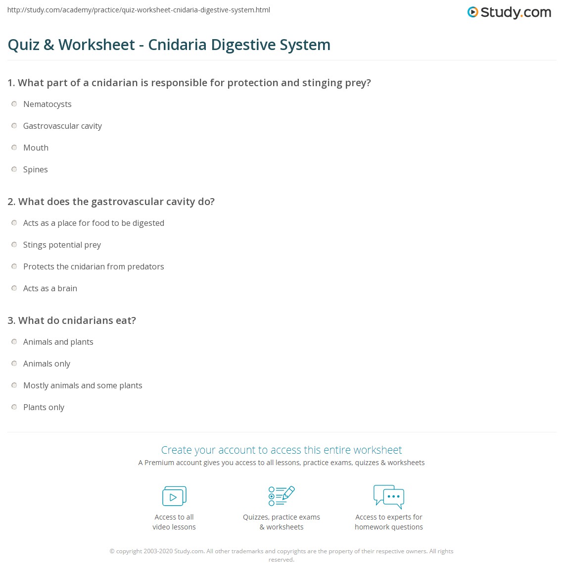 Quiz & Worksheet - Cnidaria Digestive System | Study.com