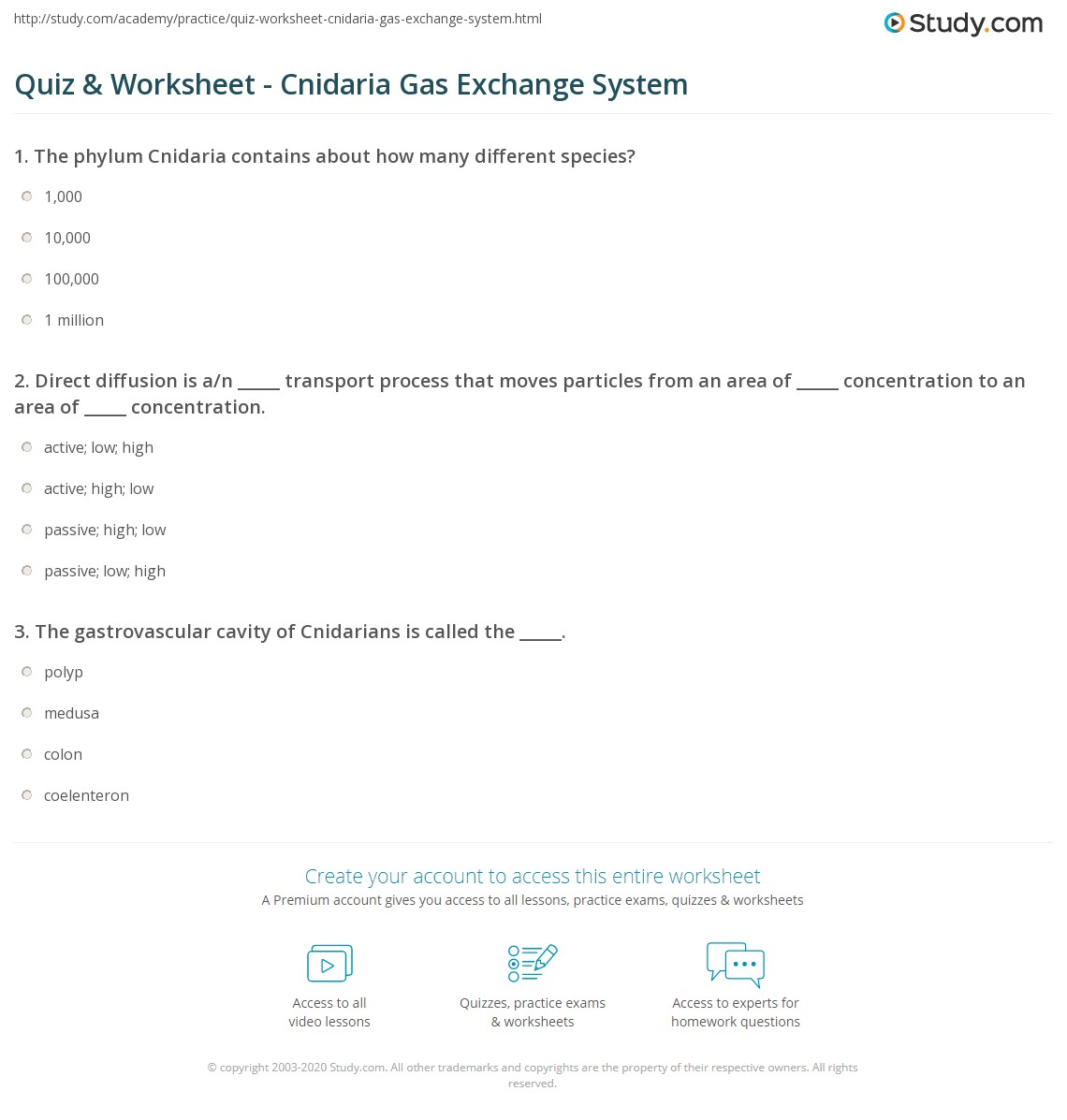 Quiz & Worksheet - Cnidaria Gas Exchange System | Study.com