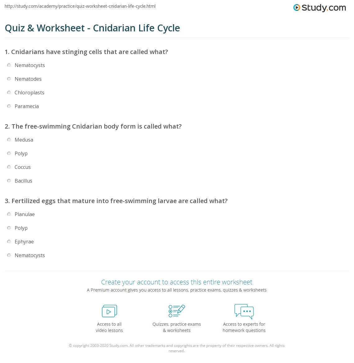 Quiz & Worksheet - Cnidarian Life Cycle | Study.com