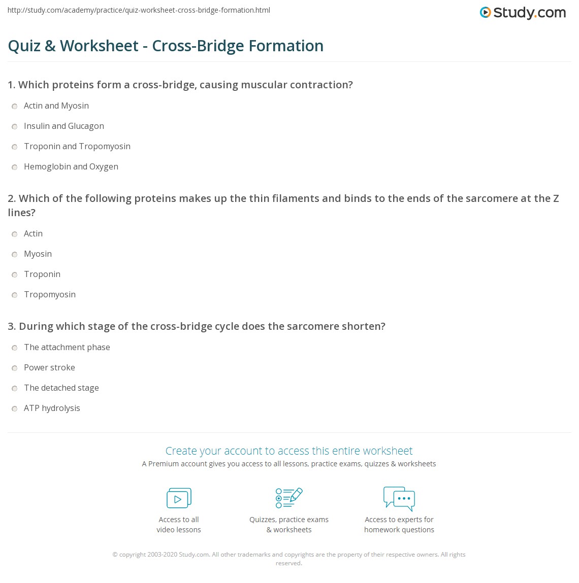 Quiz & Worksheet - Cross-Bridge Formation | Study.com