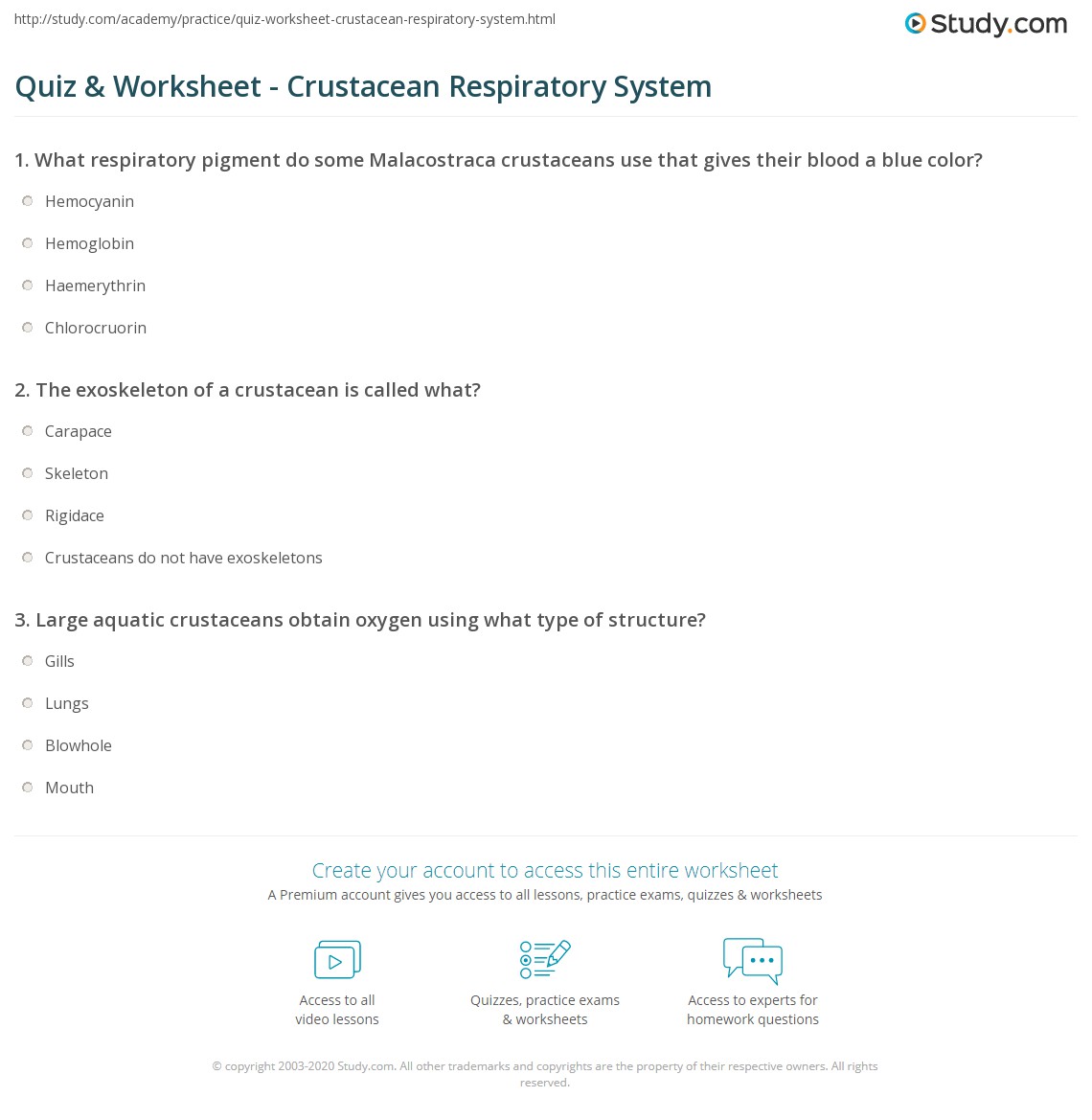 Quiz & Worksheet - Crustacean Respiratory System | Study.com